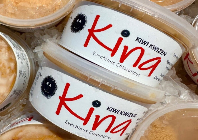 Kina – Top of the South Seafood