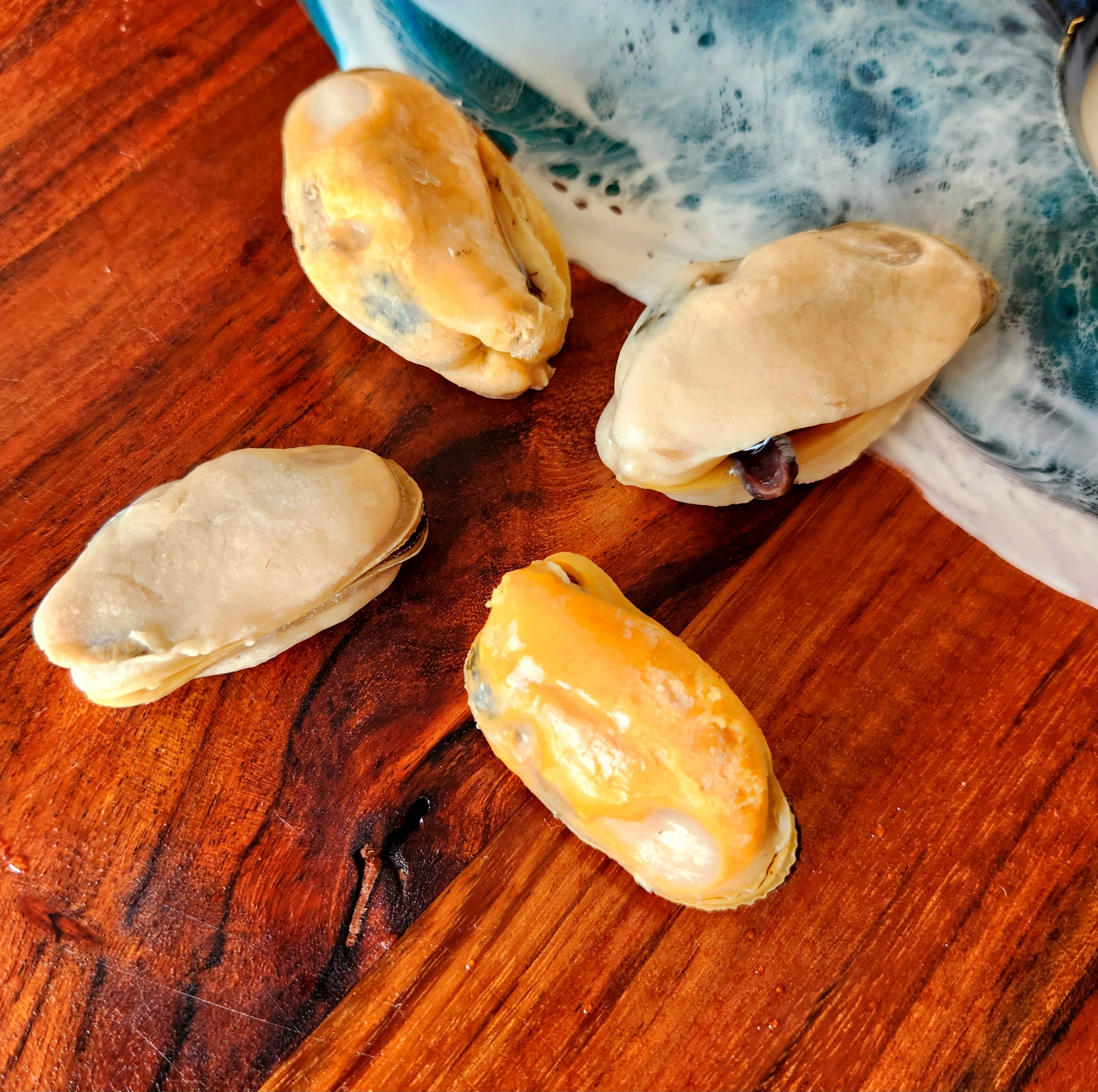 Mussels – Top of the South Seafood