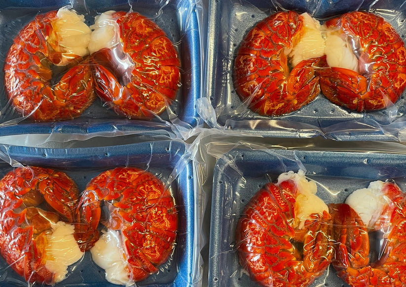 Frozen Cooked NZ Crayfish Tail – Top of the South Seafood